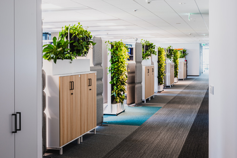 Zieleń w biurze. Systemowe rozwiązania jako ważne narzędzie w aranżacji nowoczesnego biura