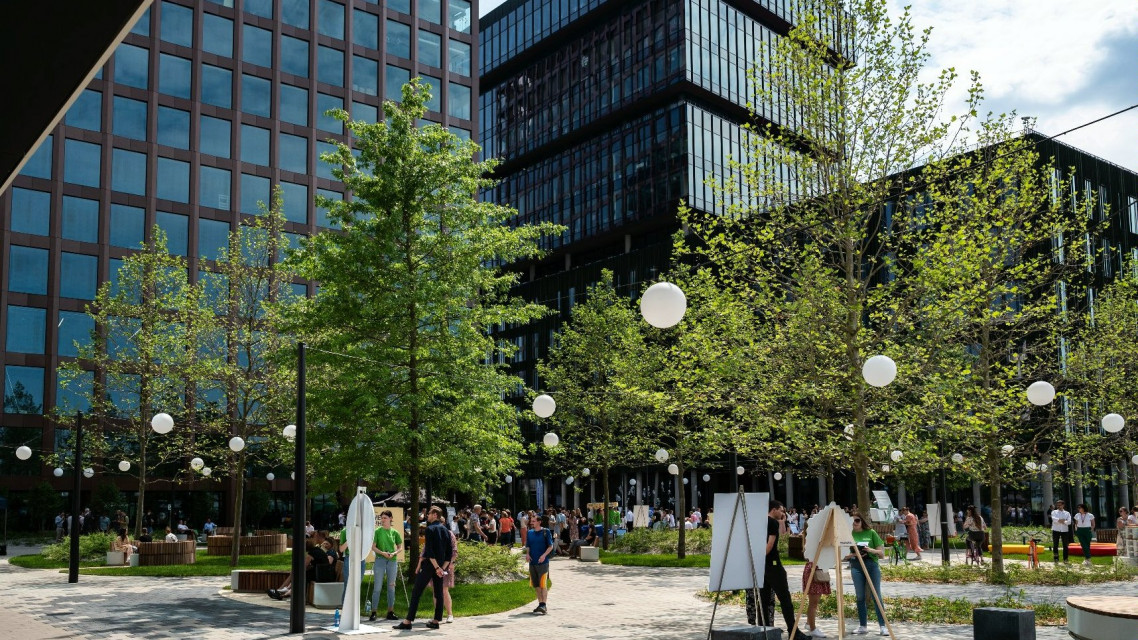 Nowy Rynek z ogólnodostępną przestrzenią publiczną