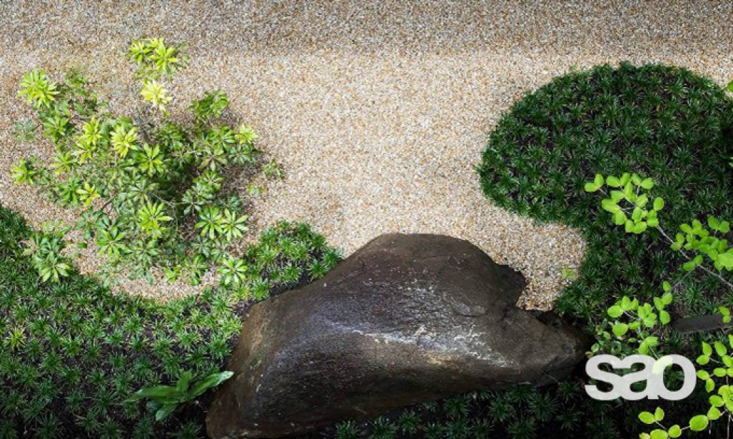 SAO Architecture zaprojektowali w Krakowie budynek zainspirowany Lasem ...