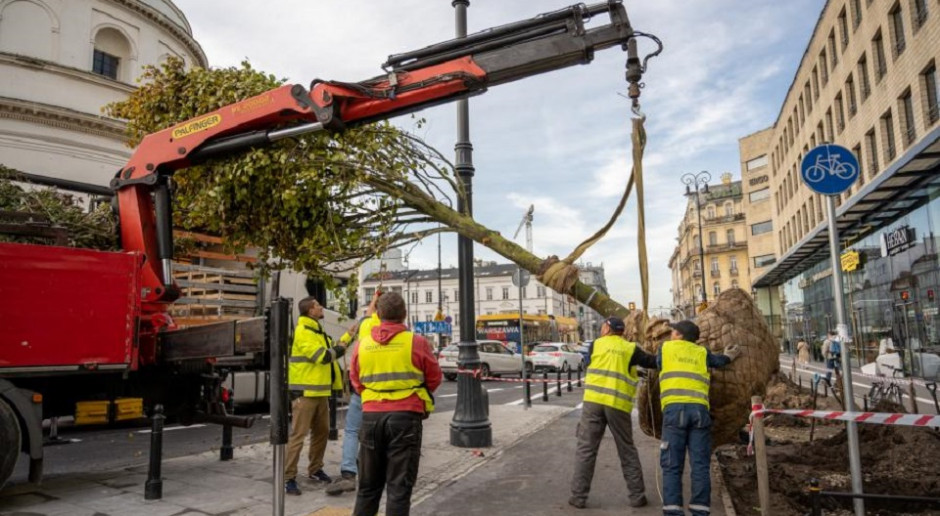 Po stu latach zieleń wróciła na Plac Trzech Krzyży w Warszawie