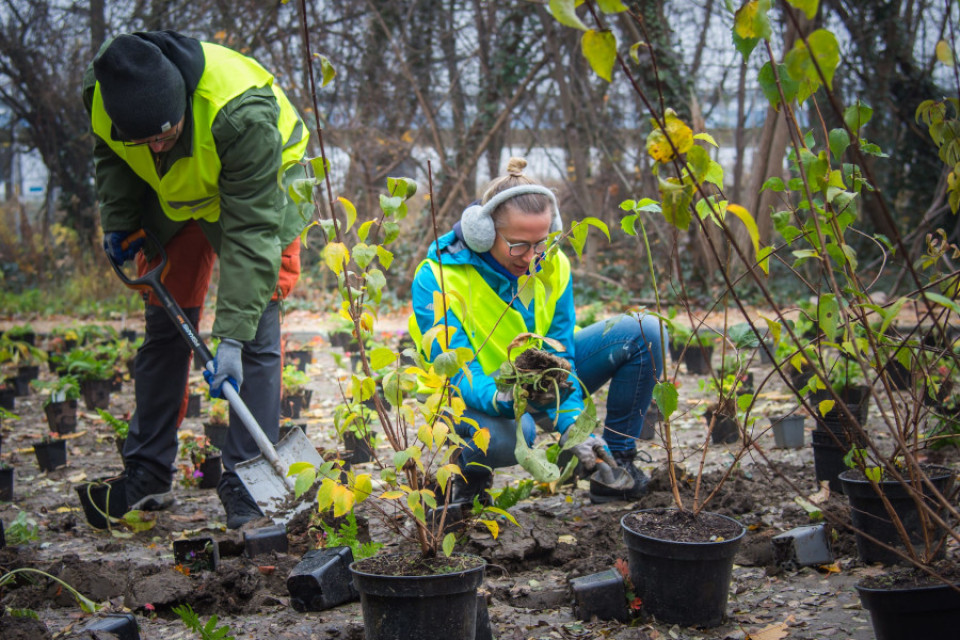 Pole Mokotowskie, park Akcji Burza, zielone torowiska. Warszawa ma za ...