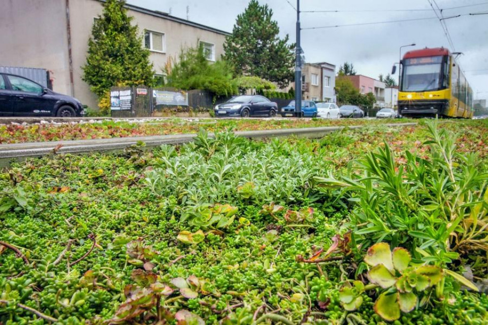 Pole Mokotowskie, park Akcji Burza, zielone torowiska. Warszawa ma za ...