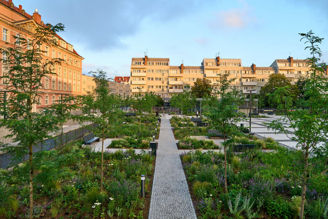 Tak wygląda wrocławski Nowy Targ po zazielenieniu. 63 tysiące roślin na ...