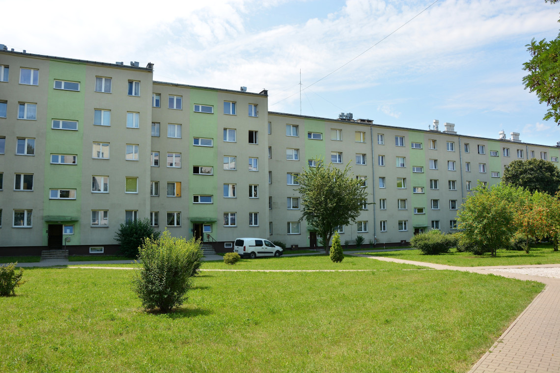 Niewidzialne skutki koszenia trawników. Nowe badania zmieniają ...